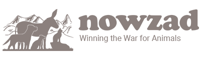 Nowzad - winning the war for animals