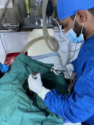 Nowzad.com > Our Work > Nowzad - Afghanistan